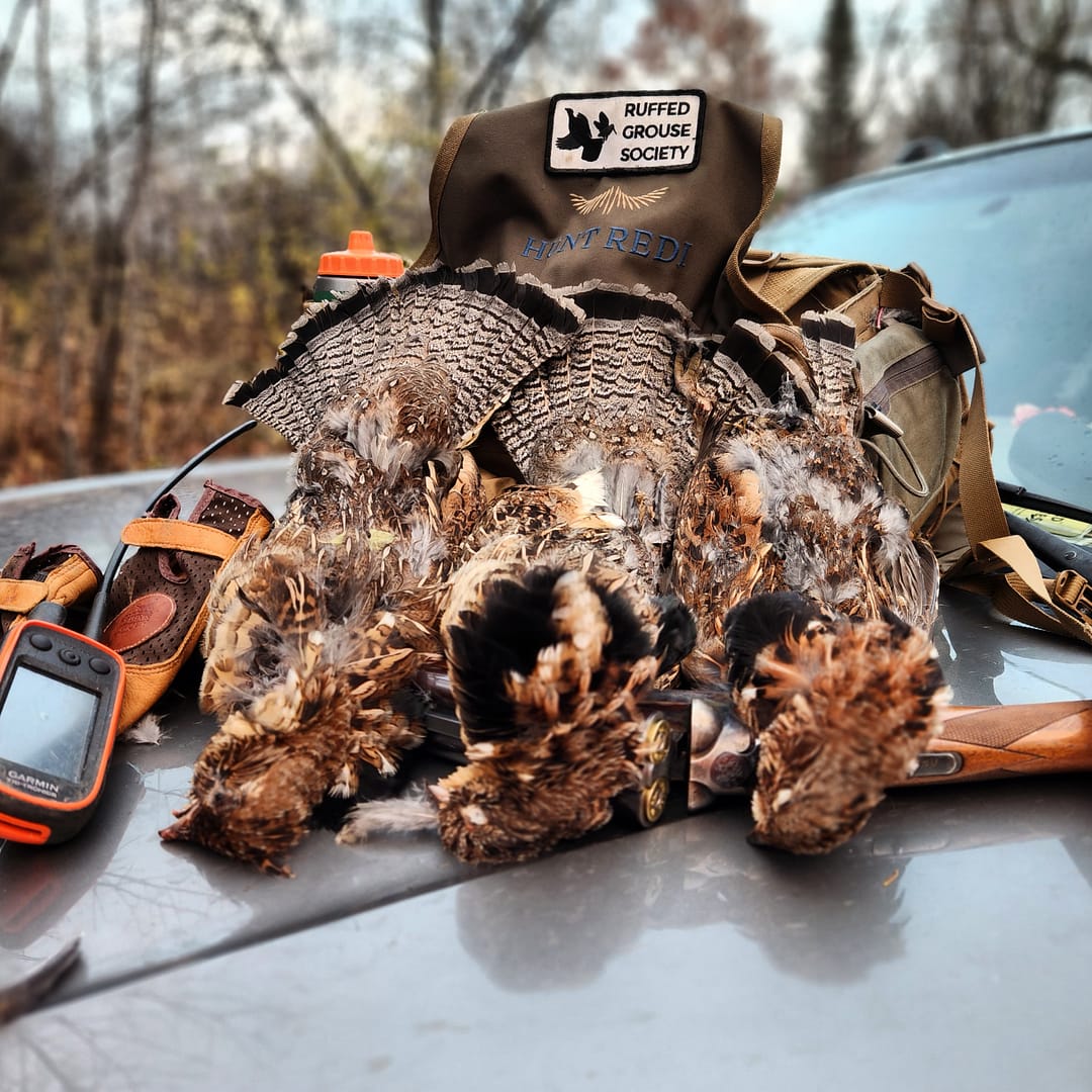 Grouse Hunting in Michigan | Amaazen Outdoors